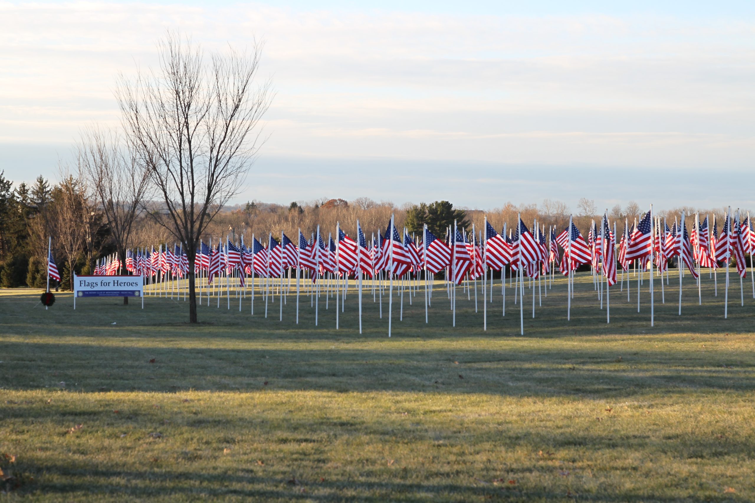 Photo gallery - Flags for Heroes